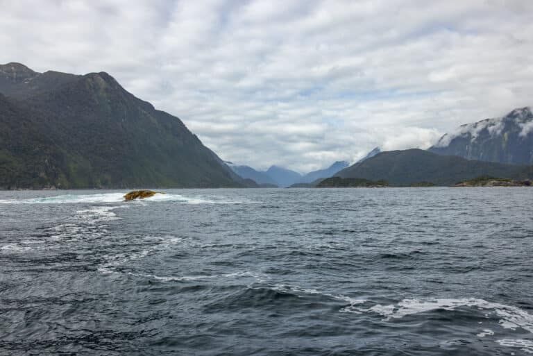 Doubtful Sound Day Trip: What to Expect, Photos & Map – Earth Trekkers