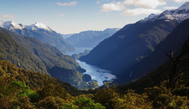 Doubtful Sound Day Trip: What to Expect, Photos & Map – Earth Trekkers