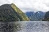 Doubtful Sound Day Trip: What to Expect, Photos & Map – Earth Trekkers