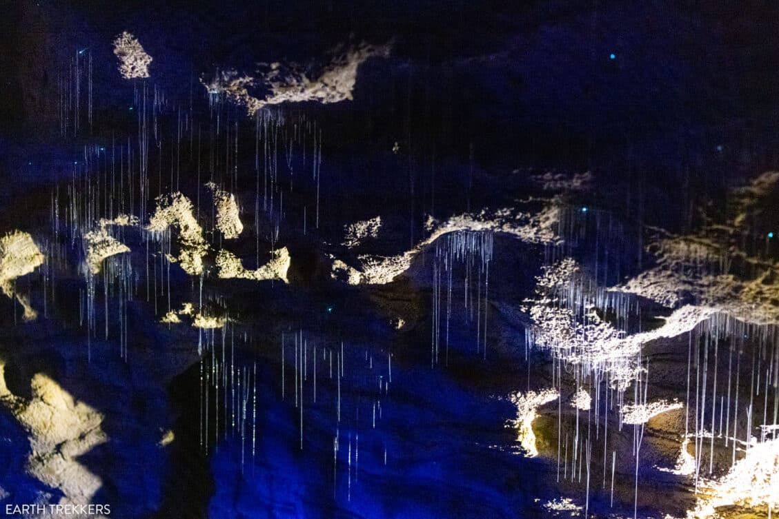 Waitomo Caves: Glowworms, Blackwater Rafting & the Best Tours – Earth ...