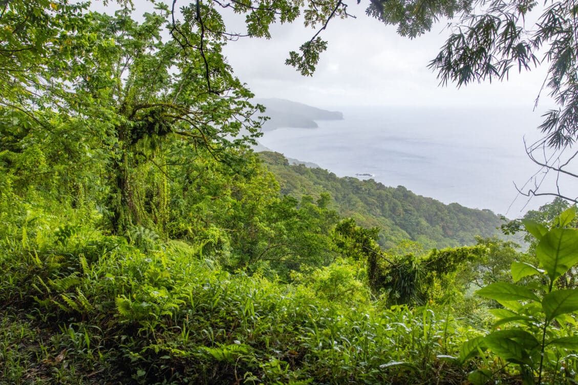 Mount ‘Alava Adventure Trail: Hiking Guide, Map, Photos, Stats – Earth ...