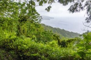 Mount ‘Alava Adventure Trail: Hiking Guide, Map, Photos, Stats – Earth ...