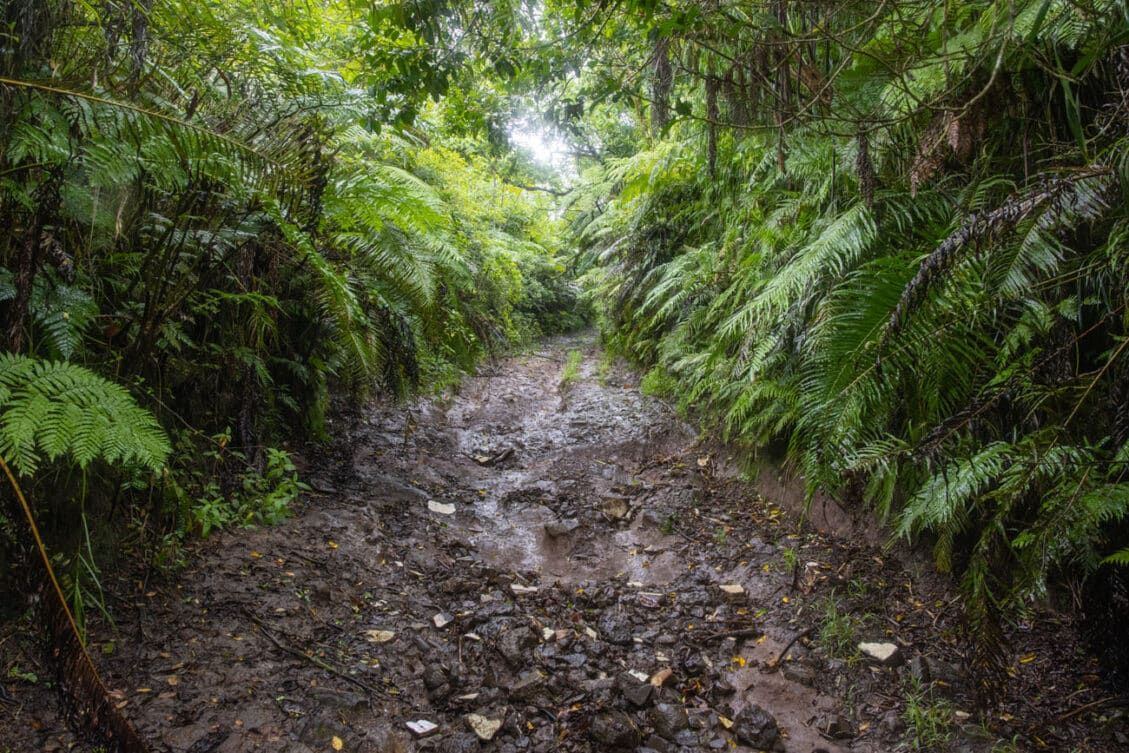 Mount ‘Alava Adventure Trail: Hiking Guide, Map, Photos, Stats – Earth ...