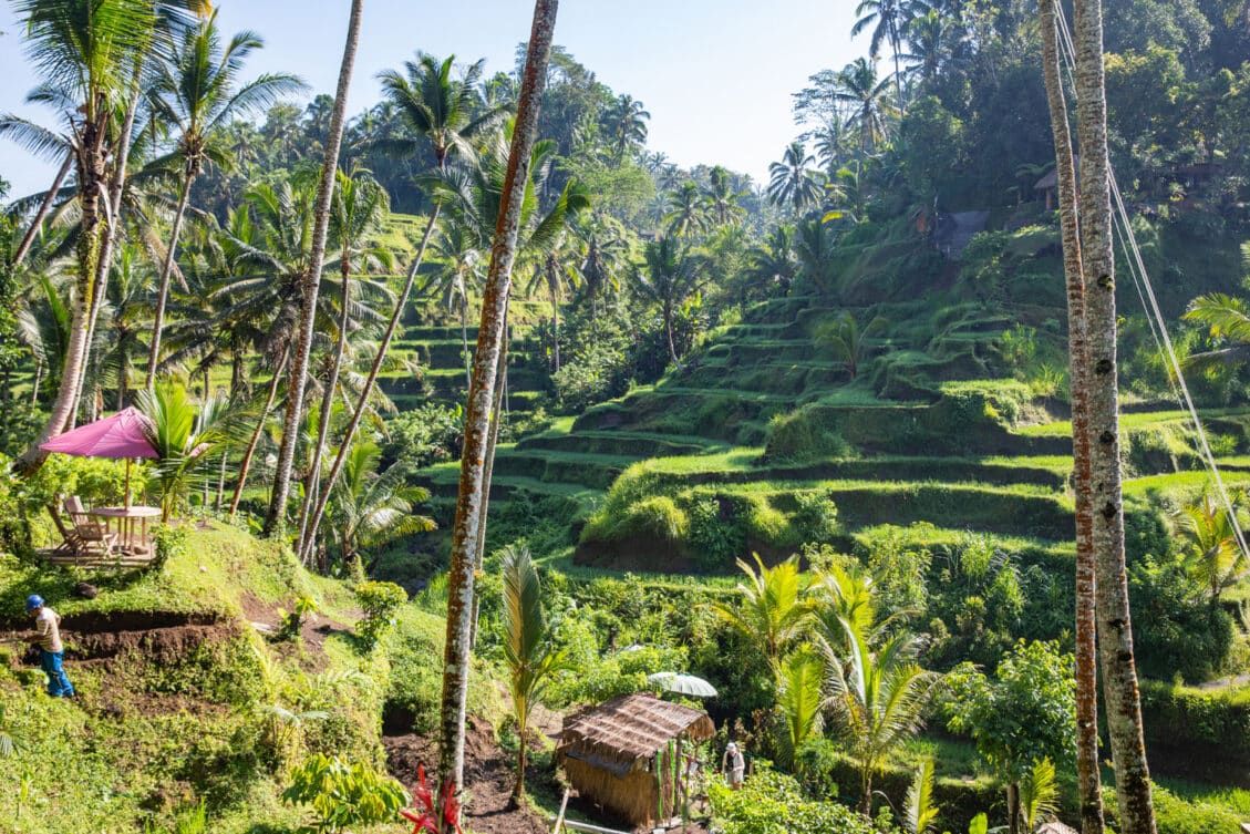 10 Day Bali Itinerary: Highlights & Hidden Gems – Earth Trekkers