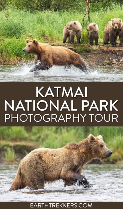 Brooks Falls Photography Tour | Katmai National Park – Earth Trekkers