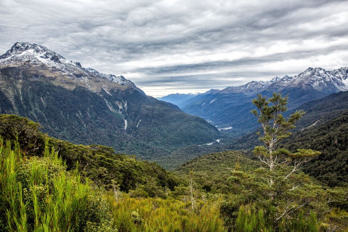 Routeburn Track: Day Hike Options, Trail Stats & Photos – Earth Trekkers