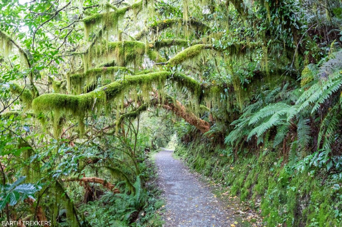 Routeburn Track: Day Hike Options, Trail Stats & Photos – Earth Trekkers