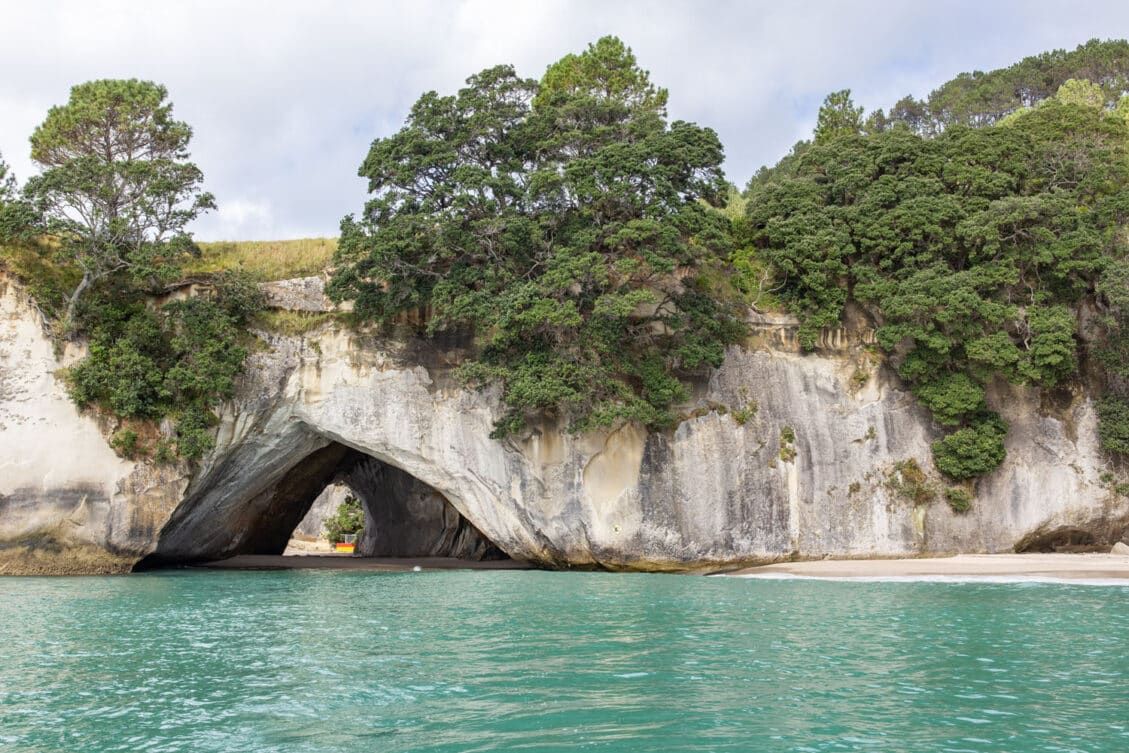 Cathedral Cove Boat Tour | Coromandel Peninsula, New Zealand – Earth ...
