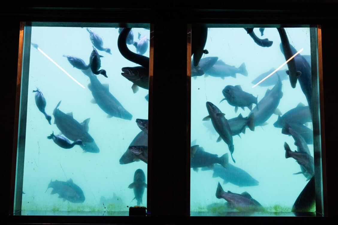 Queenstown Bucket List: 25 Epic Things to Do in Queenstown – Earth Trekkers