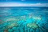 Liveaboard Tours of the Great Barrier Reef: The Best Way to Experience ...